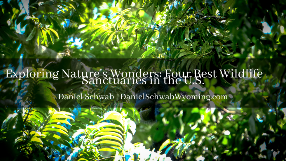 Exploring Nature’s Wonders: Four Best Wildlife Sanctuaries in the U.S ...